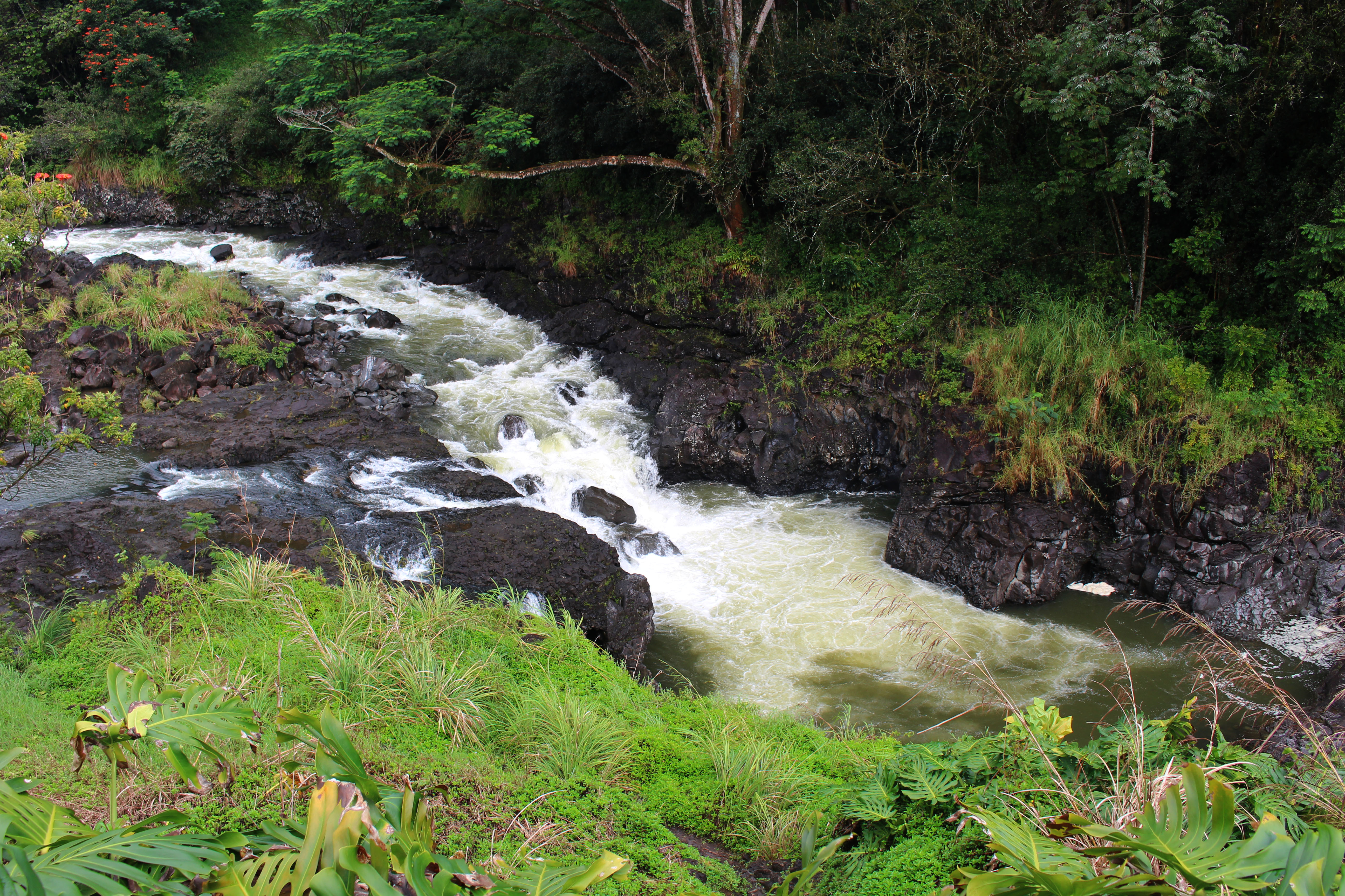 Boiling Pots: Carved by Water and Time – Big Island Blog