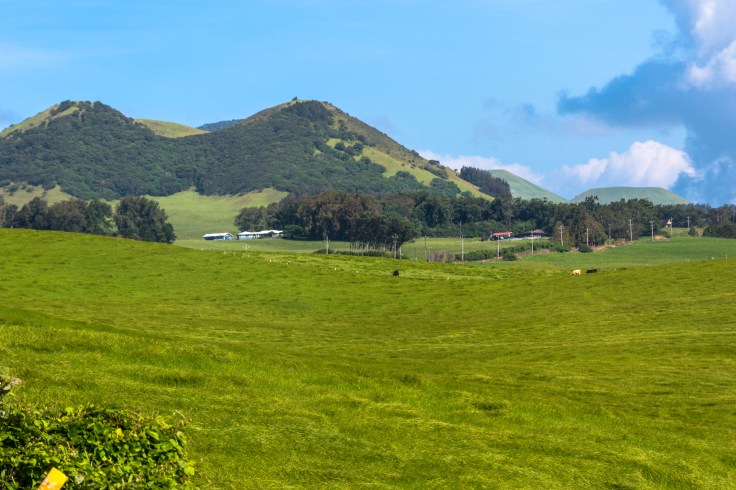 Kohala: The Oldest (And Only Extinct) Volcano – Big Island Blog