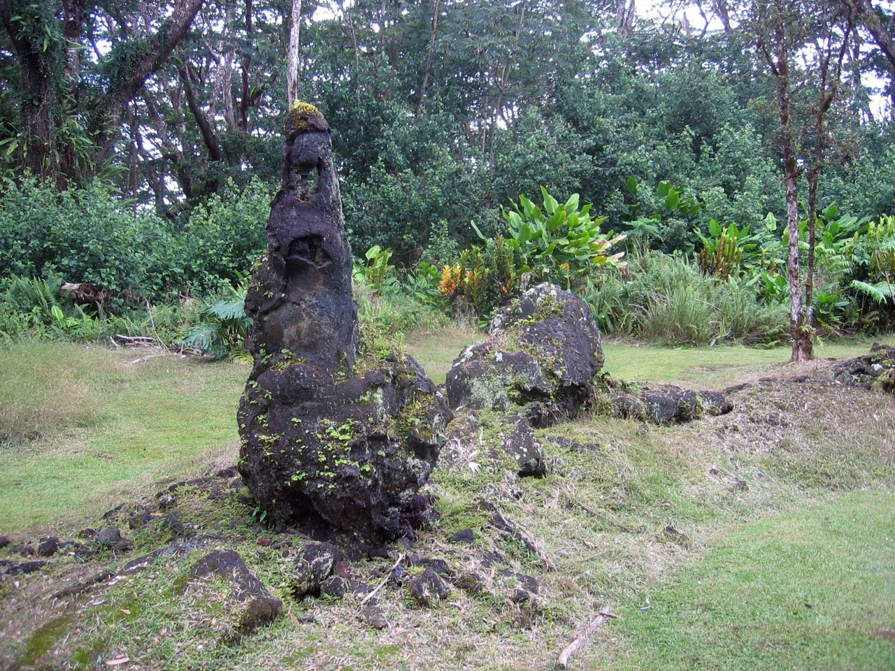 Lava Tree State Monument: See Lava Molds of Ancient Trees – Big Island Blog