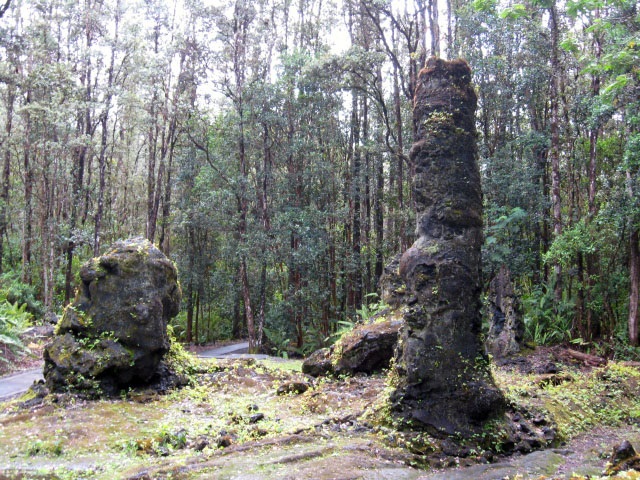 Lava Tree State Monument: See Lava Molds of Ancient Trees – Big Island Blog