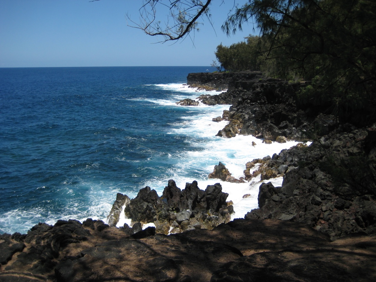 MacKenzie State Recreation Area: A Perfect Picnic Spot – Big Island Blog