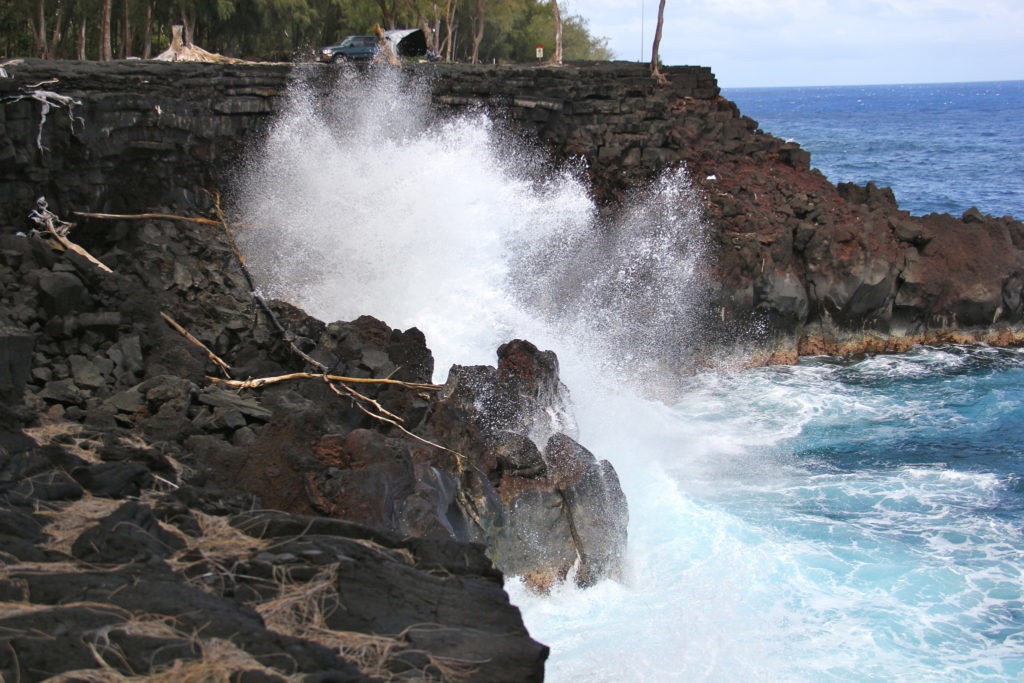 MacKenzie State Recreation Area: A Perfect Picnic Spot – Big Island Blog