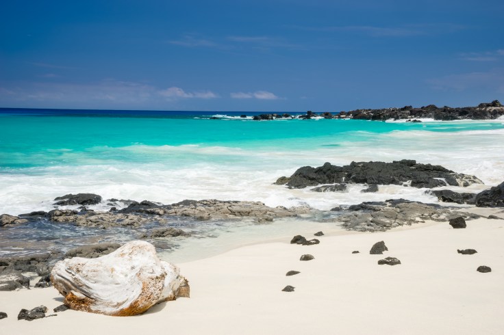 Manini’owali Beach (Kua Bay): White Sand and Crystal Waters – Big ...