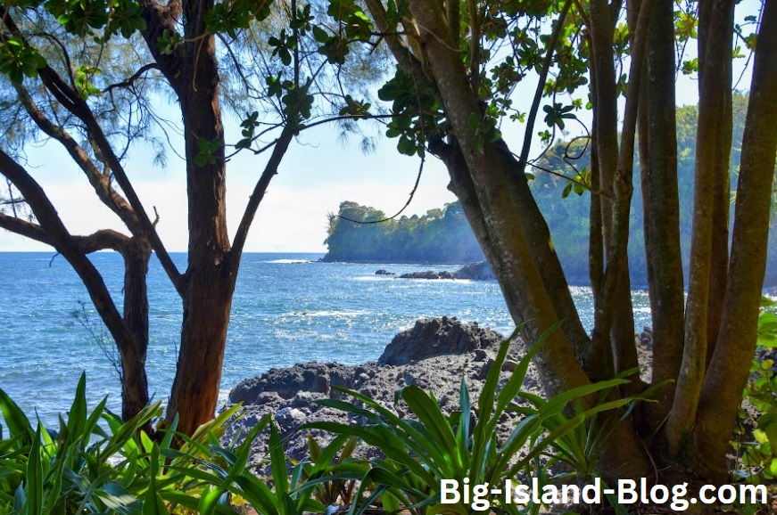 Honomu: An Old Sugar Plantation Town – Big Island Blog