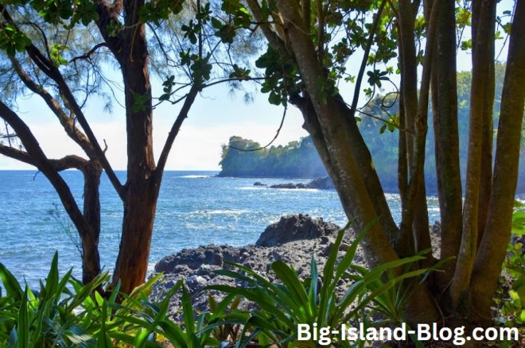 Honomu: An Old Sugar Plantation Town – Big Island Blog